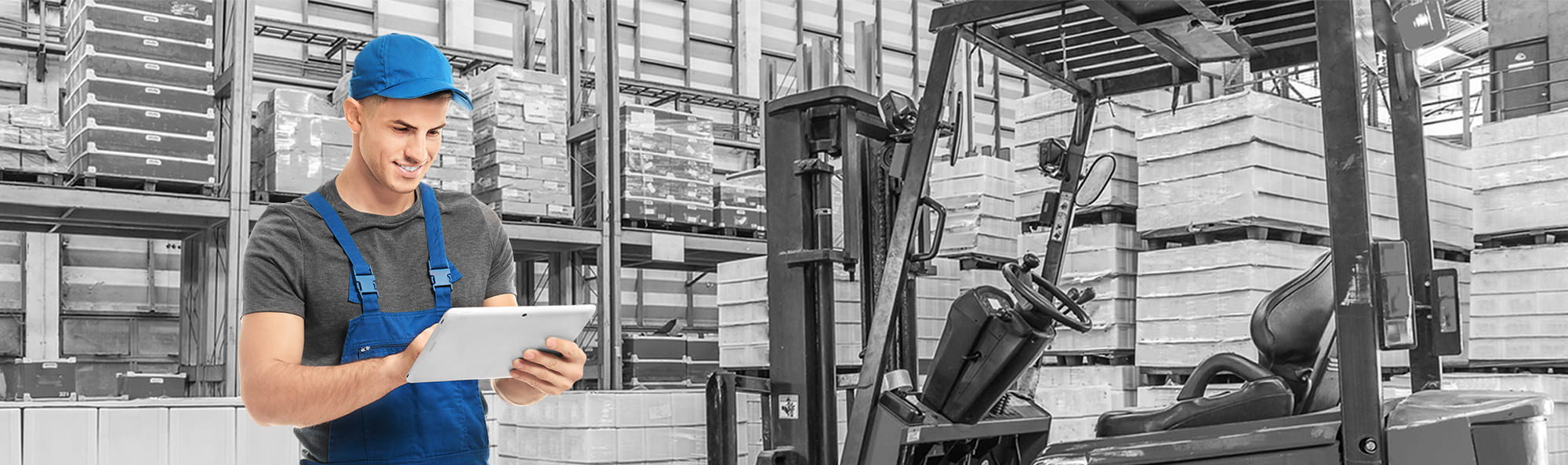 Service Logistics - DIS